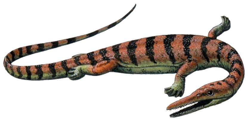 Gharial lizard (Liera) | Speculative Evolution Wiki | Fandom