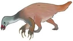 Island tree sythebird (Liera) | Speculative Evolution Wiki | Fandom