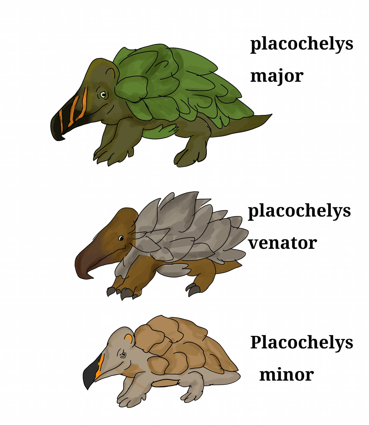 Placochelids | Speculative Evolution Wiki | Fandom