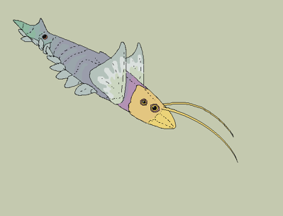 Finkins | Speculative Evolution Wiki | Fandom