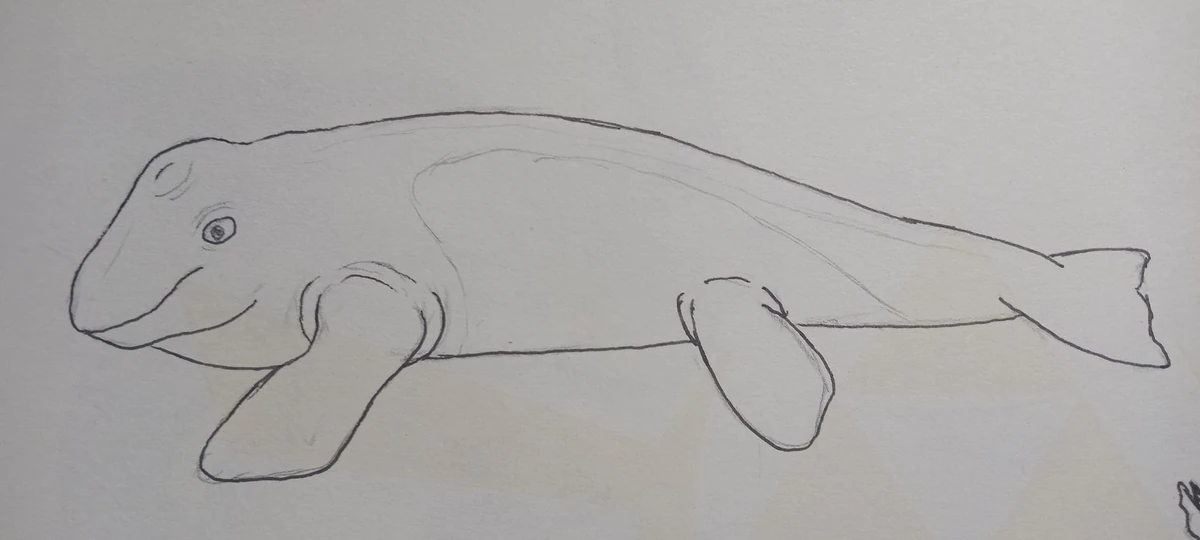 Dwarf river whales | Speculative Evolution Wiki | Fandom