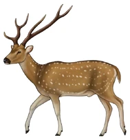 Primal Island fallow deer | Speculative Evolution Wiki | Fandom
