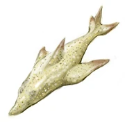 Desert shark | Speculative Evolution Wiki | Fandom