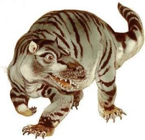 Tiger shrew | Speculative Evolution Wiki | Fandom