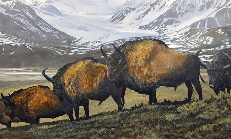 Eurafrican bison | Speculative Evolution Wiki | Fandom
