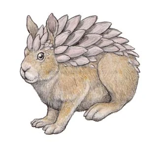 Yoroi Rabbit (Peltaragus) | Speculative Evolution Wiki | Fandom