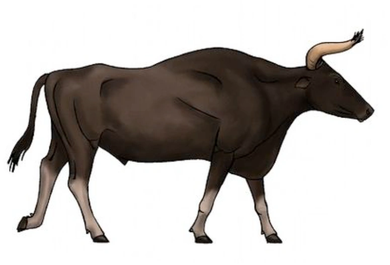 Andean aurochs (Ultra-Pleistocene) | Speculative Evolution Wiki | Fandom