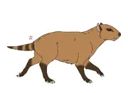 Monotremes (A fork in the path) | Speculative Evolution Wiki | Fandom