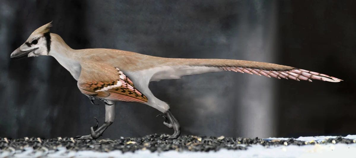 Crested ghoul (Liera) | Speculative Evolution Wiki | Fandom