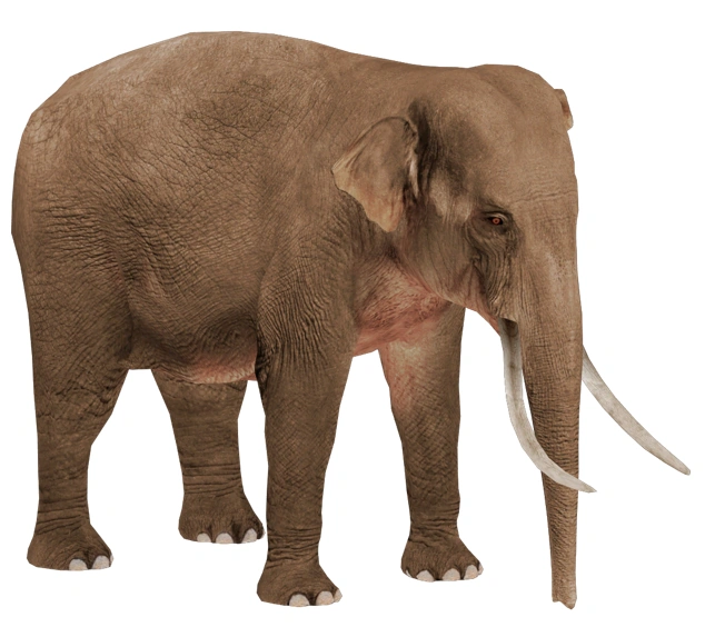 Primal Island elephants | Speculative Evolution Wiki | Fandom
