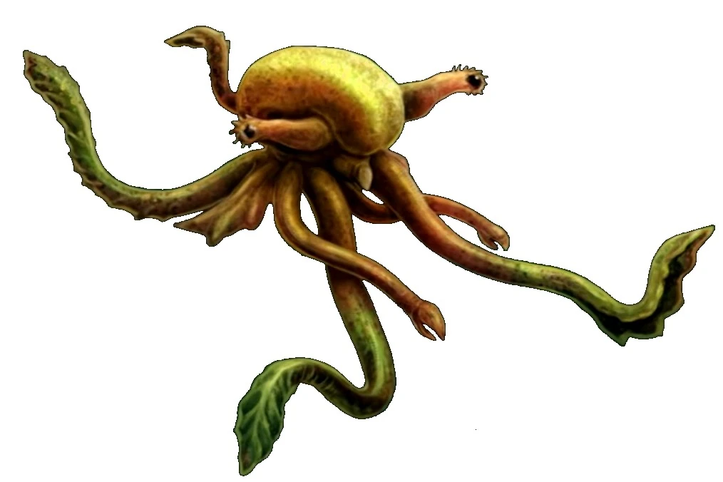 Tepua tree octopus (Liera) | Speculative Evolution Wiki | Fandom