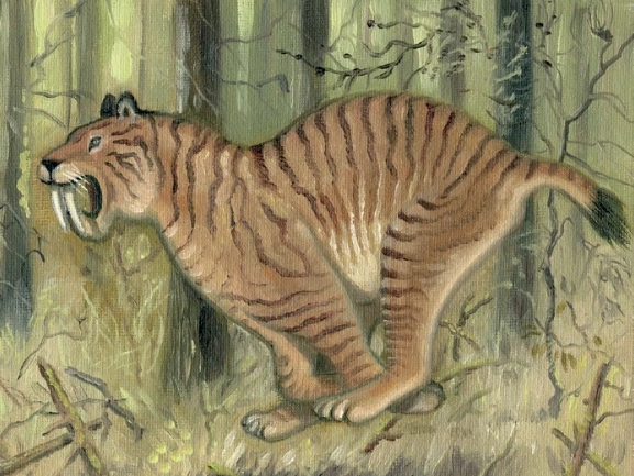 Agran tiger (Liera) | Speculative Evolution Wiki | Fandom