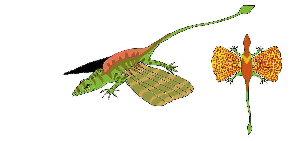 Scaly Glider (TCD) | Speculative Evolution Wiki | Fandom