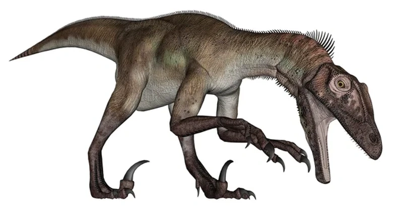 Arcadioraptors | Speculative Evolution Wiki | Fandom