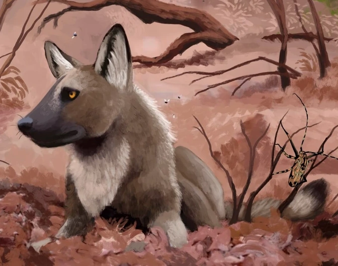 Bush hunting dog (Terra) | Speculative Evolution Wiki | Fandom