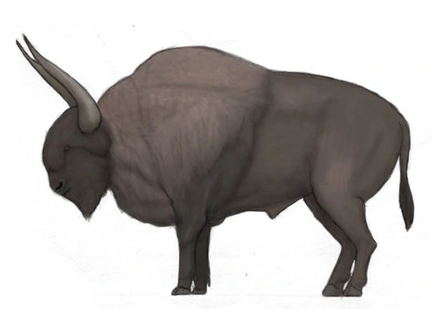 Neurasian bison | Speculative Evolution Wiki | Fandom