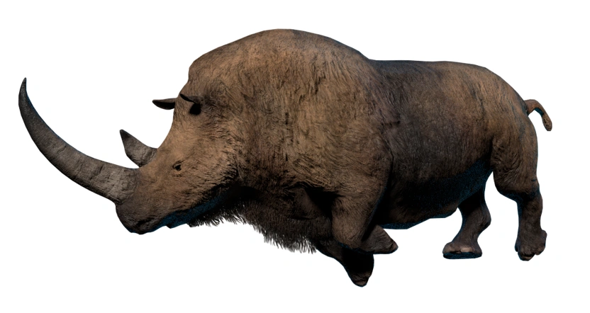 Rhino Evolution