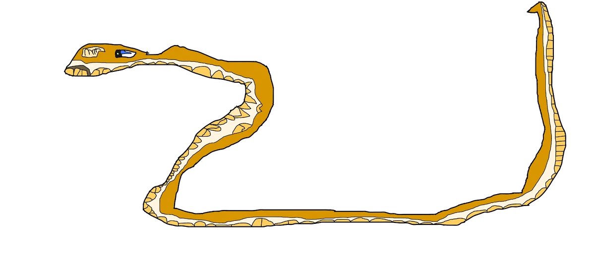 Cavern Crawler | Speculative Evolution Wiki | Fandom