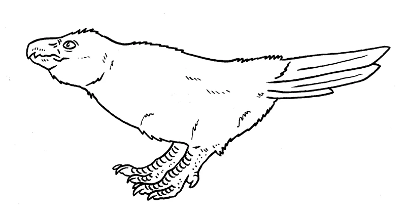 Micken | Speculative Evolution Wiki | Fandom