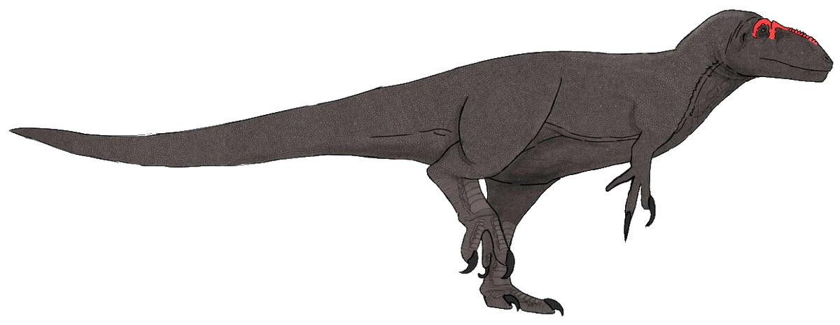 Leptocarchariodon (Liera) | Speculative Evolution Wiki | Fandom