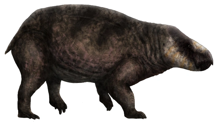 Mountain giant pig-lizard (Liera) | Speculative Evolution Wiki | Fandom