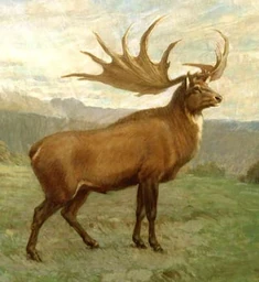 Eregola elk (Liera) | Speculative Evolution Wiki | Fandom