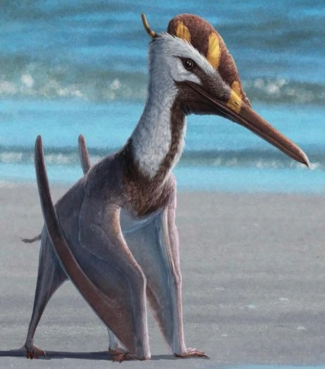 New Zealand pterodactyl (SciiFii World) | Speculative Evolution Wiki ...