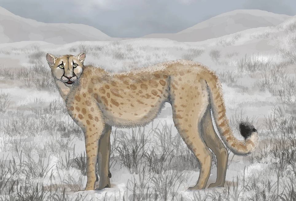 Arx cheetahs | Speculative Evolution Wiki | Fandom