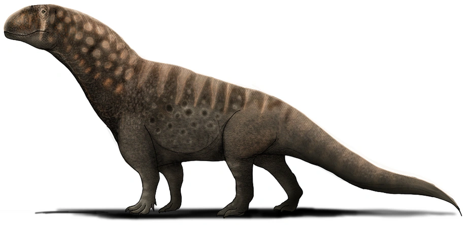 Giant iguanacroc (Liera) | Speculative Evolution Wiki | Fandom