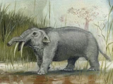 Category:Elephants | Speculative Evolution Wiki | Fandom