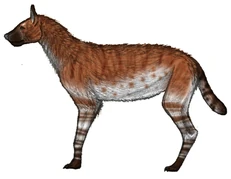 Hyaenidae (Terra) | Speculative Evolution Wiki | Fandom