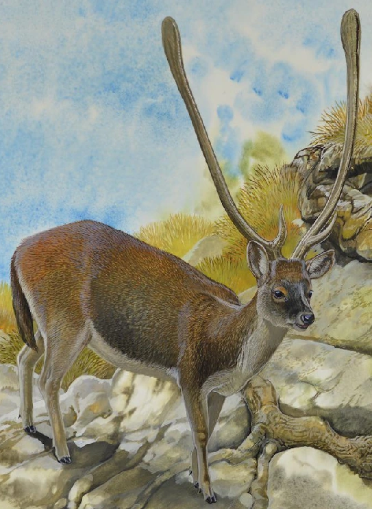 Lecian Isles (Planet X933) | Speculative Evolution Wiki | Fandom