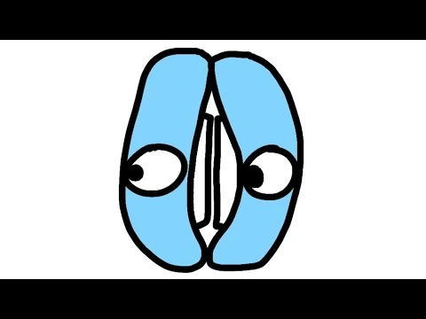 Math Lore - Parenthesis | Special Alphabet Lore Wiki | Fandom