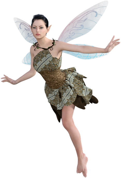 Category:Faes | Species classifaction Wiki | Fandom