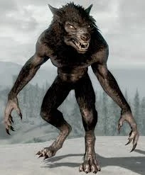 Werewolf | Species classifaction Wiki | Fandom