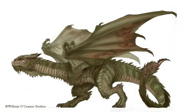 Wyvern | Species classifaction Wiki | Fandom