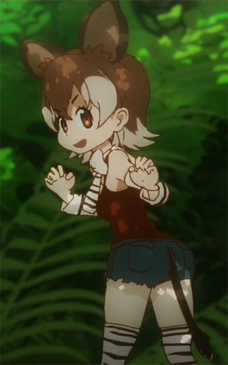 Okapi | Species List Wiki | Fandom