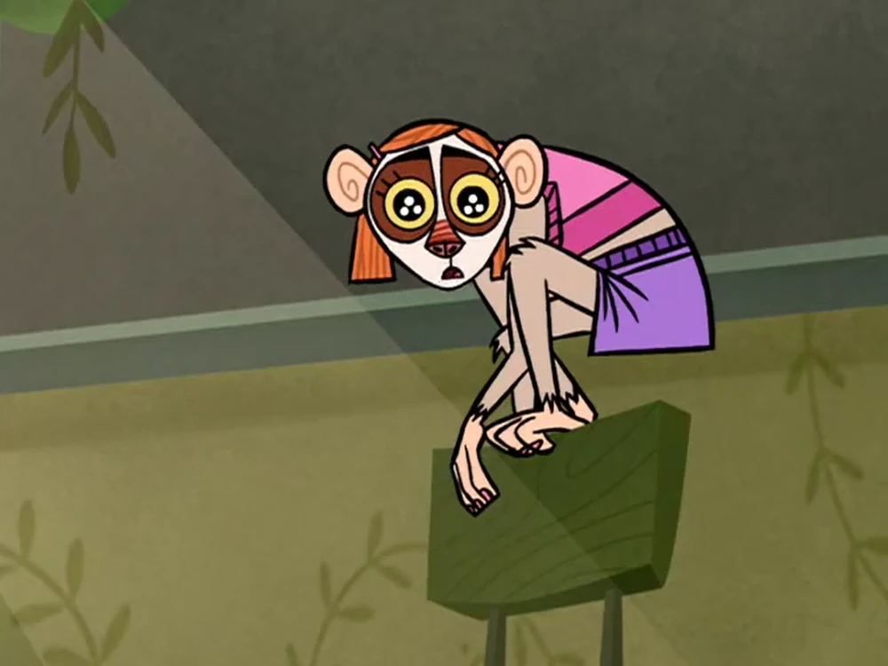 Slender Loris | Species List Wiki | Fandom