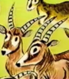 Waterbuck | Species List Wiki | Fandom