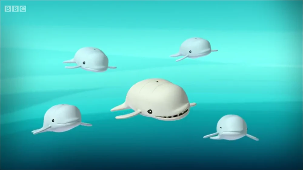 Beluga Whale | Species List Wiki | Fandom