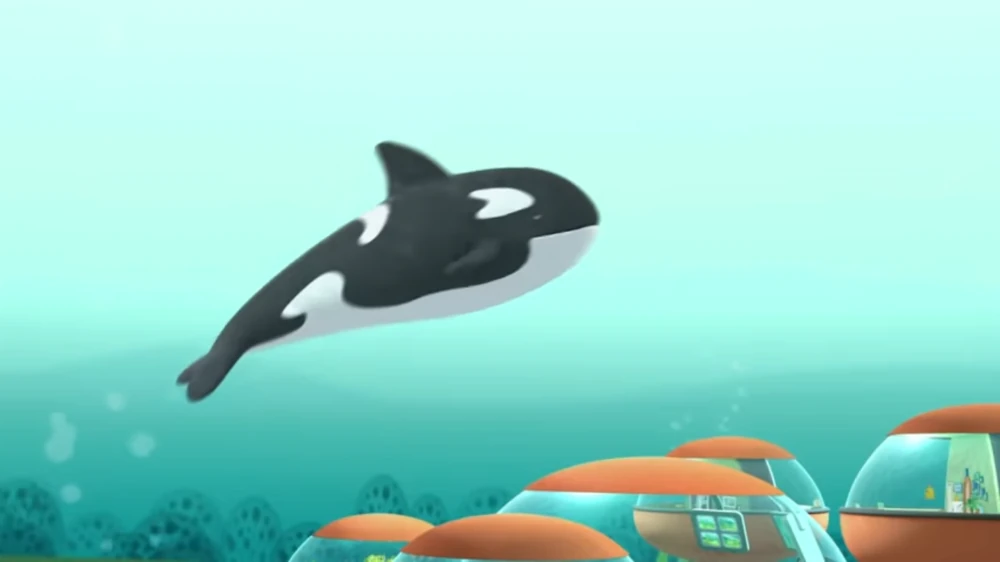 Orca | Species List Wiki | Fandom