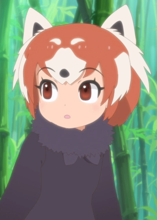 Red Panda | Species List Wiki | Fandom