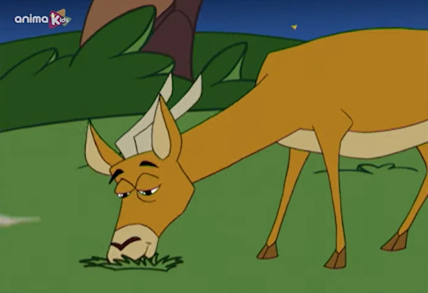 Toonimals | Species List Wiki | Fandom