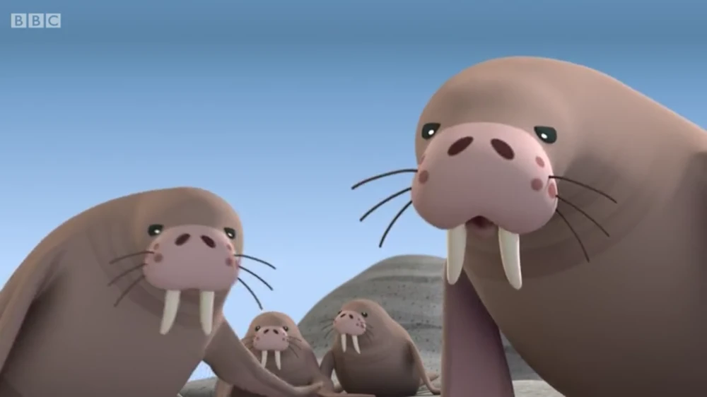 Walrus | Species List Wiki | Fandom