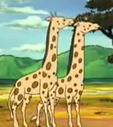 Giraffe | Species List Wiki | Fandom