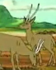 Impala | Species List Wiki | Fandom