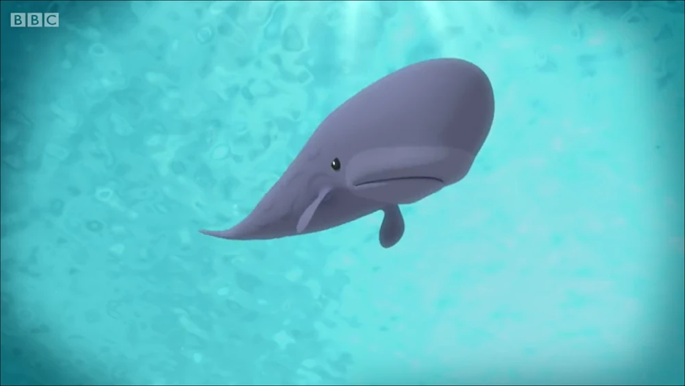 Sperm Whale | Species List Wiki | Fandom