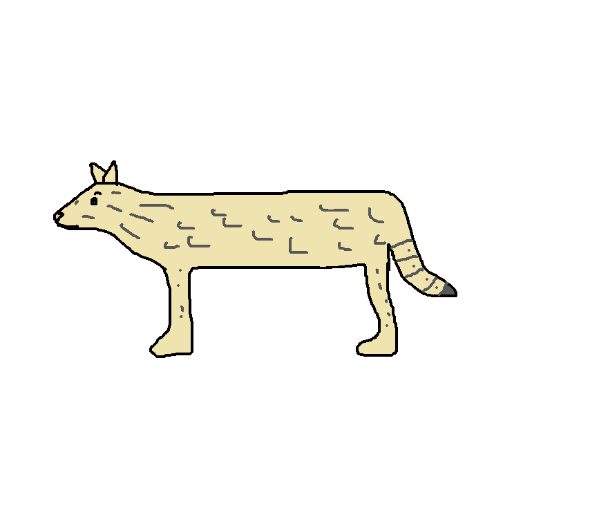 Oncilla | Species Wiki | Fandom