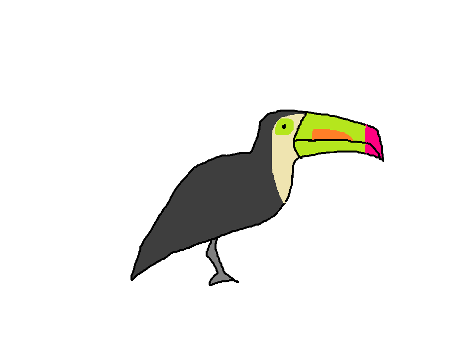 Keel-billed Toucan | Species Wiki | Fandom
