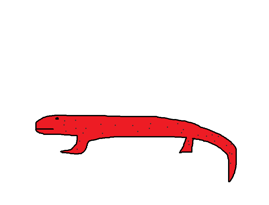 Red Salamander | Species Wiki | Fandom
